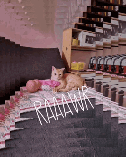Cat Meow Cat Meow Rawr Discover And Share S