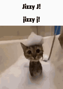 Jizzy GIF - Jizzy - Discover & Share GIFs
