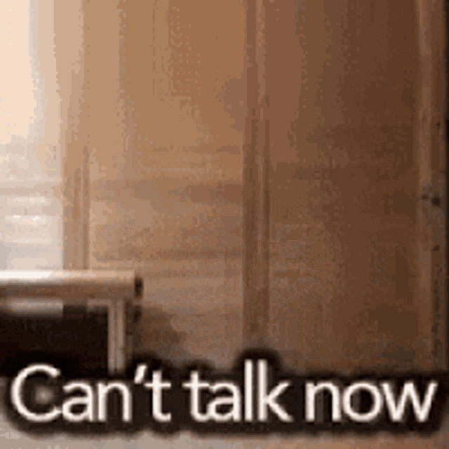 Busy Cat GIF - Busy Cat - Discover & Share GIFs