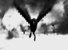 Raven Discord Emojis - Raven Emojis For Discord