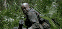 Predator GIFs | Tenor