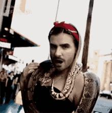 Pretty Python GIF - Pretty Python Beard - Discover & Share GIFs