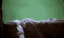 Monty Python And There Was Much Rejoicing GIFs | Tenor