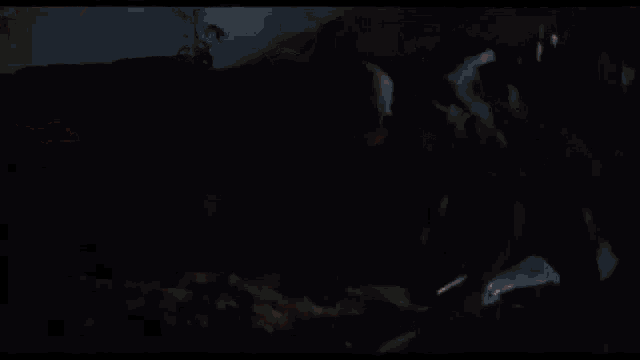 Platoon GIF - Platoon - Discover & Share GIFs