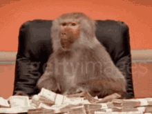 Monkey5dollar GIF - Monkey5dollar - Discover & Share GIFs