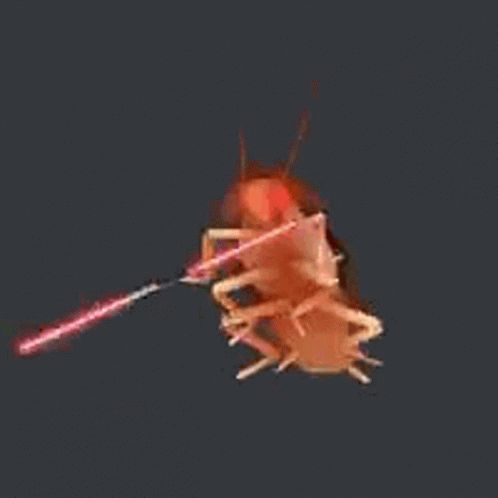 Roach Starwars GIF - Roach Starwars - Discover & Share GIFs