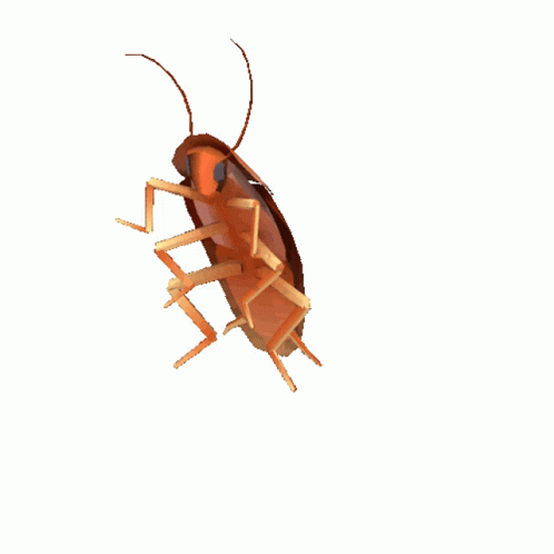 Cockroach Pest Sticker - Cockroach Roach Pest - Discover & Share GIFs