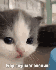 A Da GIF - A Da - Discover & Share GIFs