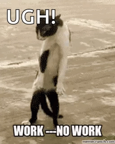 Work No Work GIF - Work No Work Cat - Discover & Share GIFs Work No Work GIF - Work No Work Cat - Discover & Share GIFs