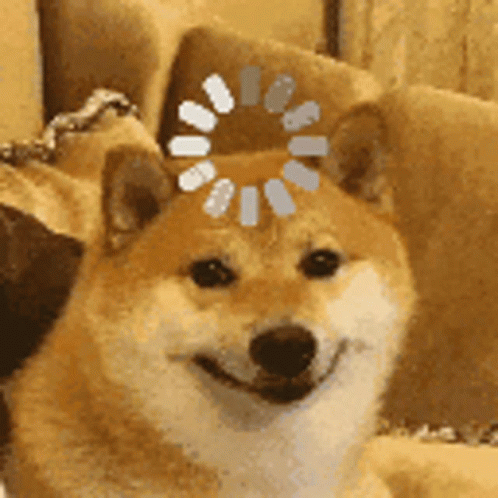 Loading Thinking GIF - Loading Thinking Shiba - Discover & Share GIFs
