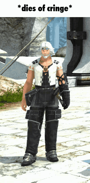 Ffxiv Cid Ffxiv Cid Dies Of Cringe Discover And Share S