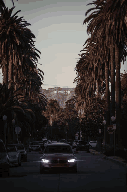 Bmw Lights Hollywood Hills Bmw Lights Hollywood Hills Bmw Car Discover And Share S