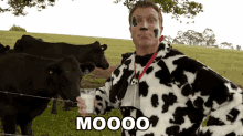 Moo GIFs | Tenor