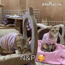 Nm GIF - Nm - Discover & Share GIFs