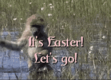 Funny Easter GIFs | Tenor