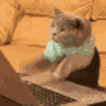 Typing Meme GIFs | Tenor