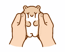 Hamster PFP - Hamster Profile Pics