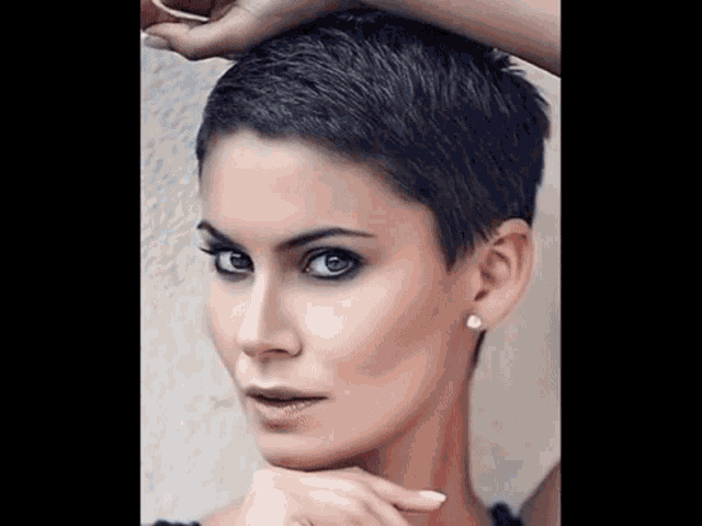 Pixie 11255 Pixie 11255 Discover And Share S