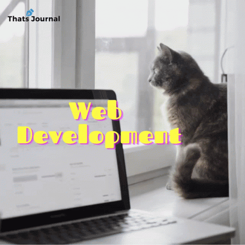 Web Development Web Design GIF - Web Development Web Development ...
