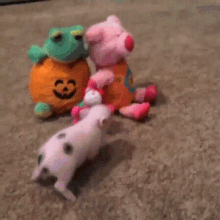 Pig Attack GIF - Pig Attack - Discover & Share GIFs