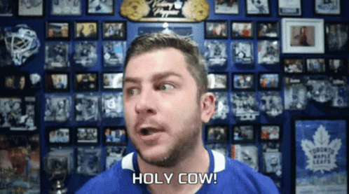 Steve Dangle Holy Cow GIF - Steve Dangle Holy Cow Holy Smokes - Discover & Share GIFs