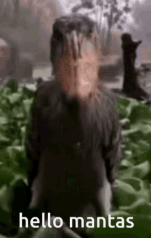 Hi Memes GIFs | Tenor