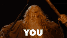 Lord Of The Rings Gandalf You Shall Not Pass GIFs | Tenor