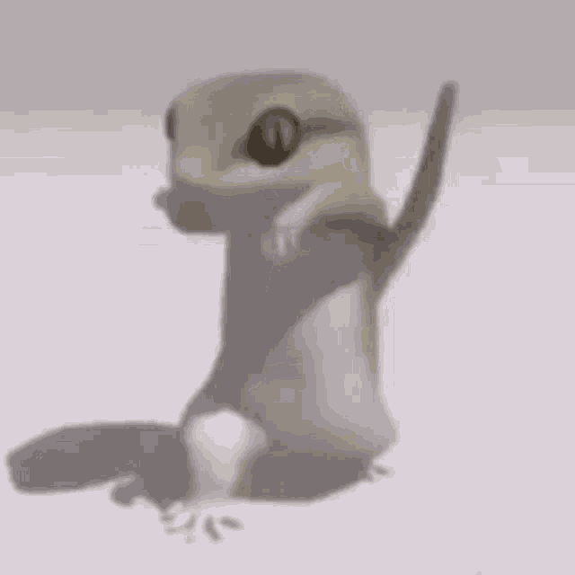 Boi Boi Discover And Share S