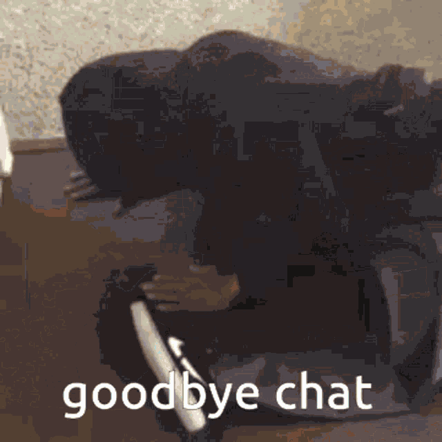 Goodbye Chat Goodbye Chat Discover And Share S