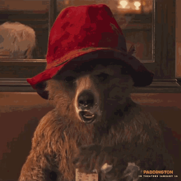 Paddington Paddington Discover And Share S
