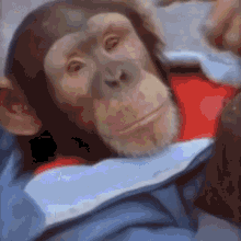 Monke Monkey GIF - Monke Monkey Vibe - Discover & Share GIFs