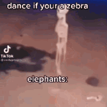 Elephant Meme GIFs | Tenor