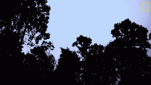Thunder Lightning GIF - Thunder Lightning Storm - Discover & Share GIFs