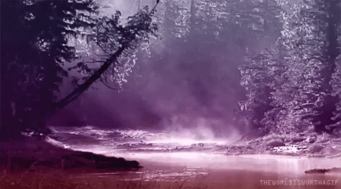 Lake Forest GIF - Lake Forest Water - Discover & Share GIFs