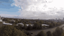 Hawk Attack GIFs | Tenor