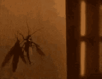 Bugs GIF - Bugs - Discover & Share GIFs