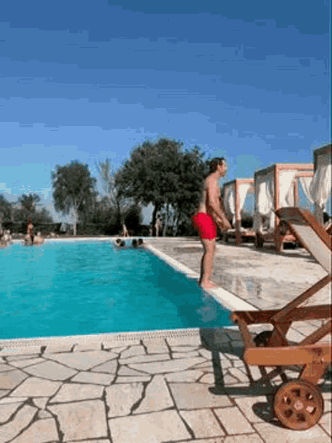 Tuffo Swimming Tuffo Swimming Pool Discover And Share S