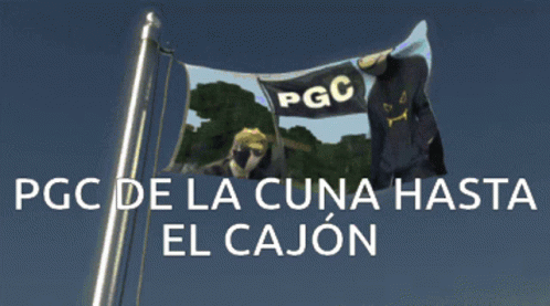 Pgc Pgcc GIF - PGC Pgcc Ppgc - Discover & Share GIFs