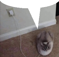 Ragdoll GIFs | Tenor