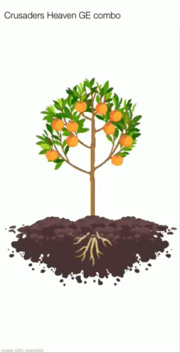 Animated Tree Image GIFs | Tenor