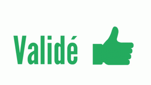 Validé Validation GIF - Validé Validation - Discover & Share GIFs
