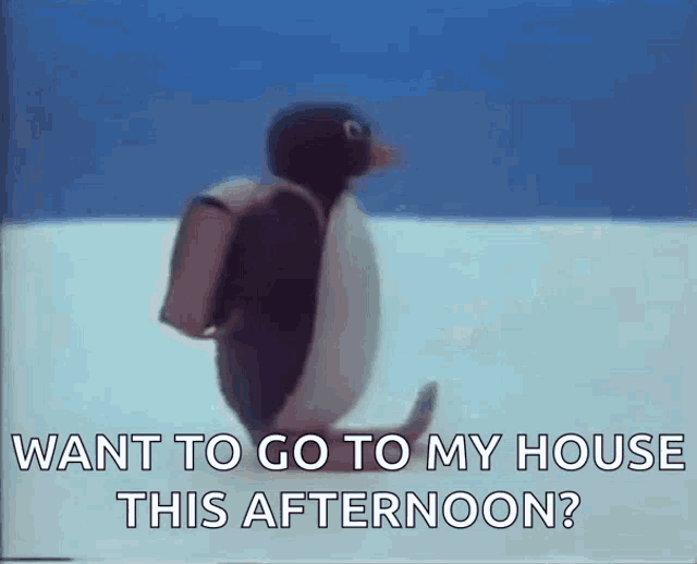Pingu School Pingu School Want To Go To My House Discover And Share S