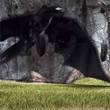 Ugly Toothless Woman GIFs | Tenor