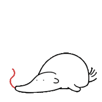 Indifferent GIFs | Tenor