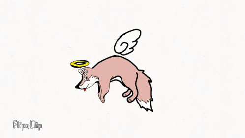 Fly GIF - Fly - Discover & Share GIFs