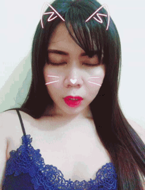 Cat Day Cat Day Discover And Share S