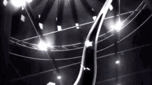 Orlando Magic GIF - Orlando Magic - Discover & Share GIFs