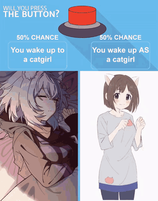 Cat Girl Cat Girl Discover And Share S