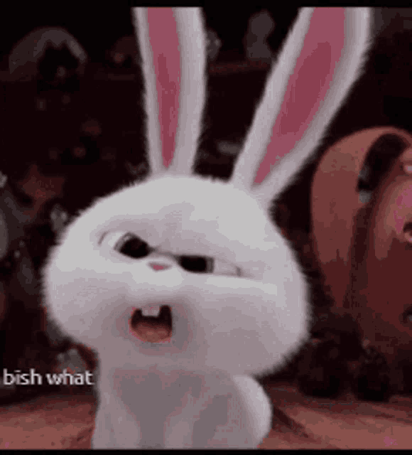 What GIF What Discover Share GIFs