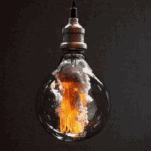 Bulb GIFs | Tenor